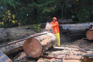 Quartering Western Hemlock – Efficient Techniques with Granberg