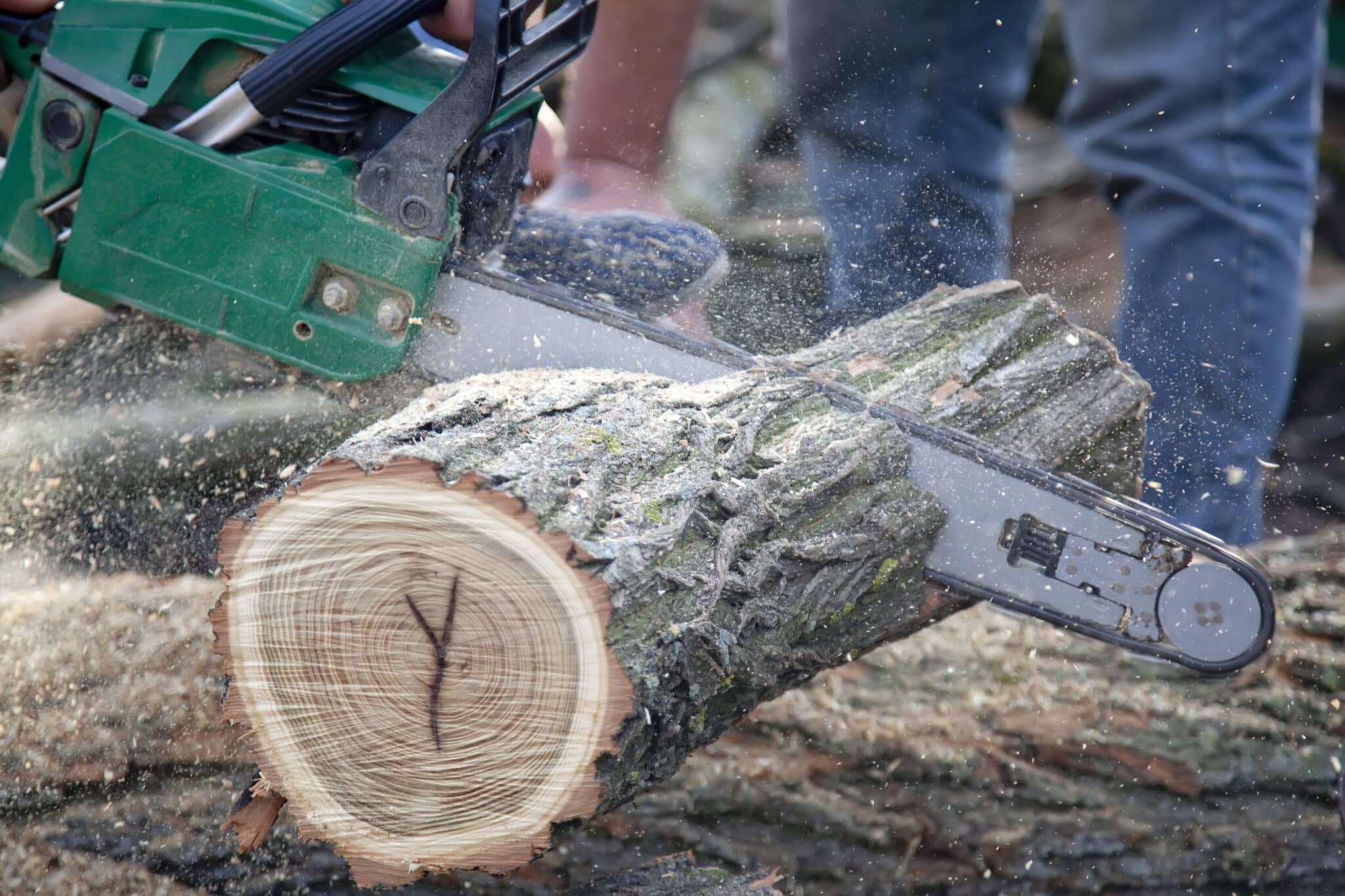 Log Prep Tips for Chainsaw Milling | Granberg International